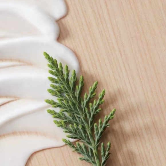 Tatcha | Bath & Body | New Tatcha Hinoki Body Milk Lightweight Milky ...